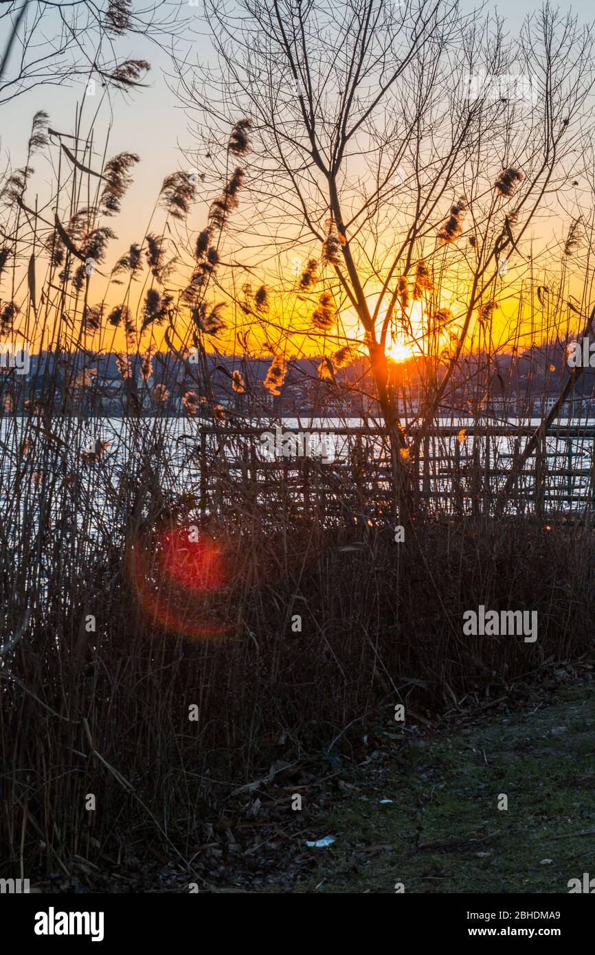 Lakefront at sunset, Lago Maggiore, Angera, Varese, Lombardia, Italy ...
