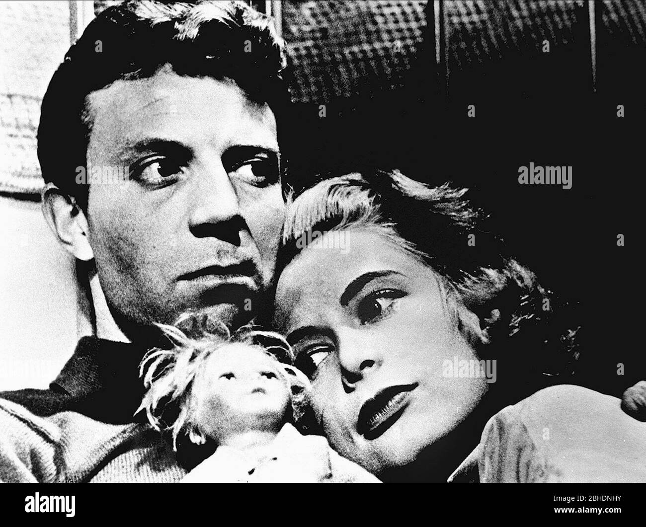 Tiger Vincent Black and White Stock Photos & Images - Alamy