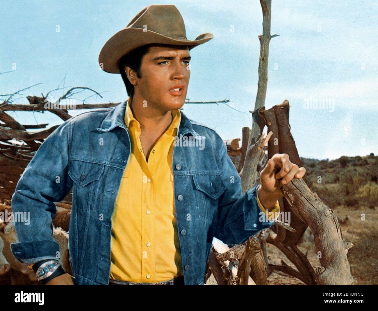 Elvis Presley Cowboy High Resolution Stock Photography and Images - Alamy