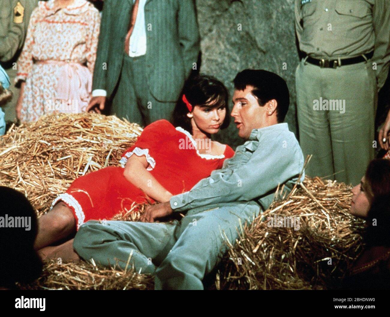 Yvonne Craig High Resolution Stock Photography and Images - Alamy