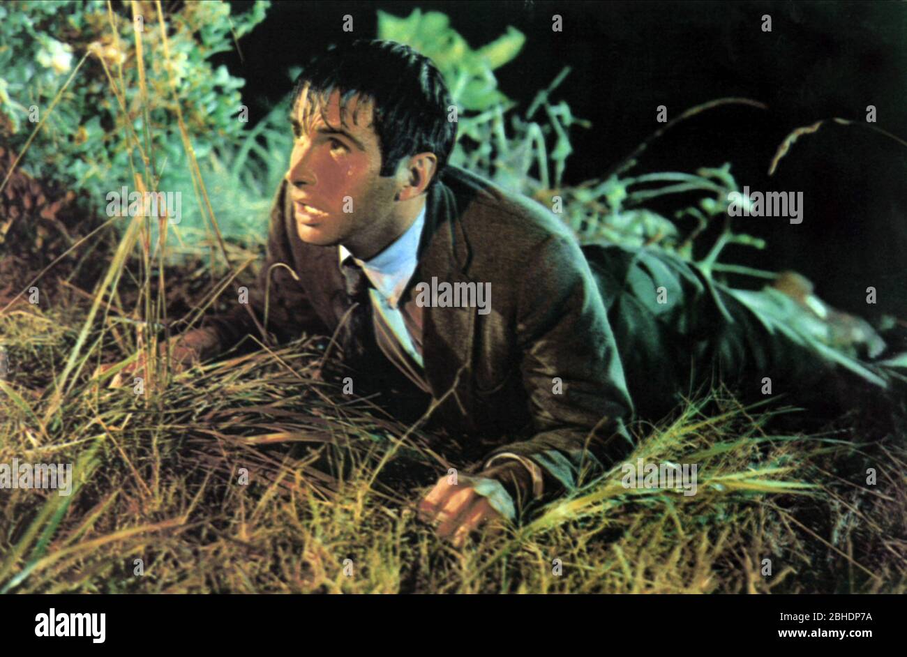 George Hamilton High Resolution Stock Photography and Images - Alamy
