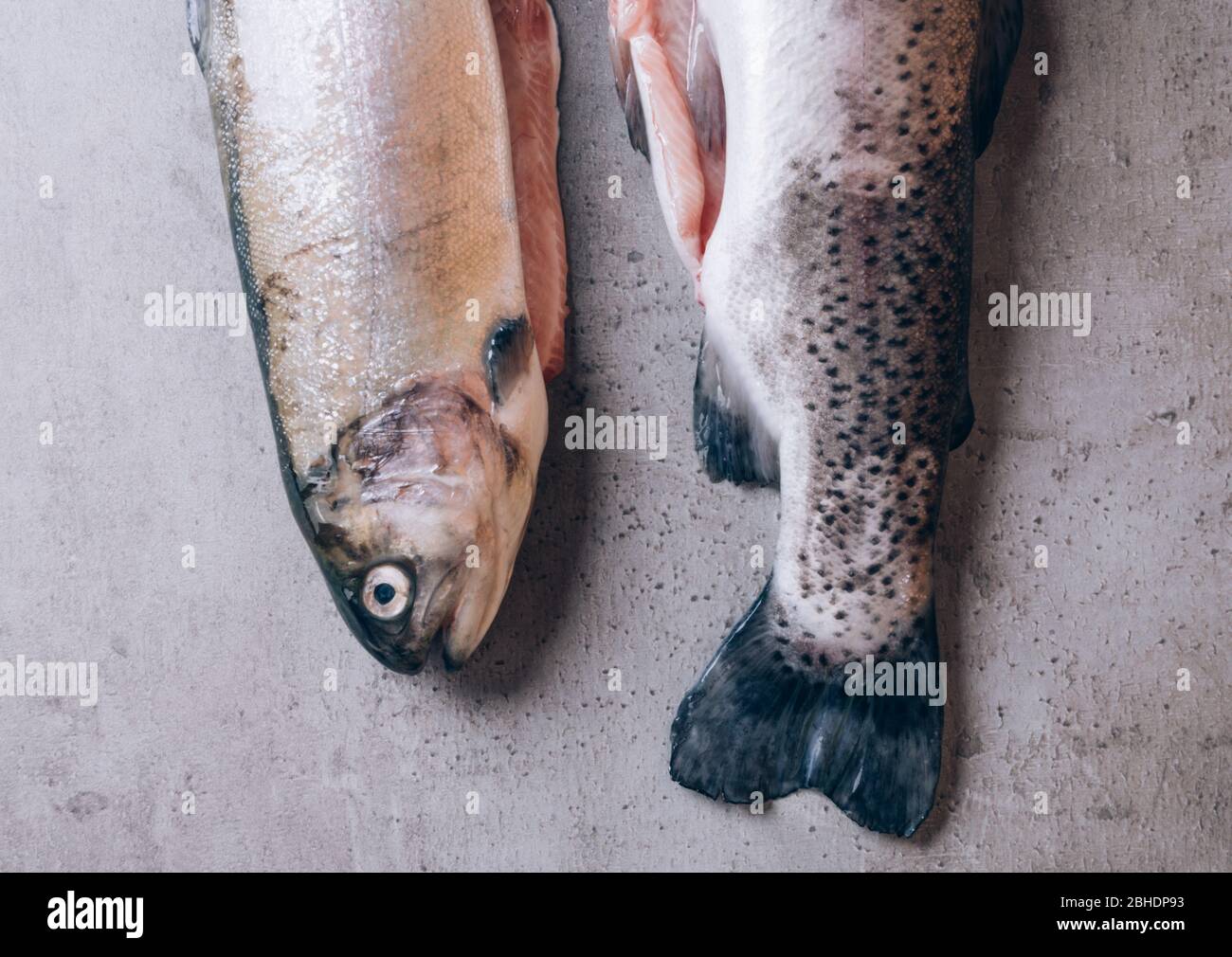 Rainbow Trout tail and fish head on grey concrete background Stock ...