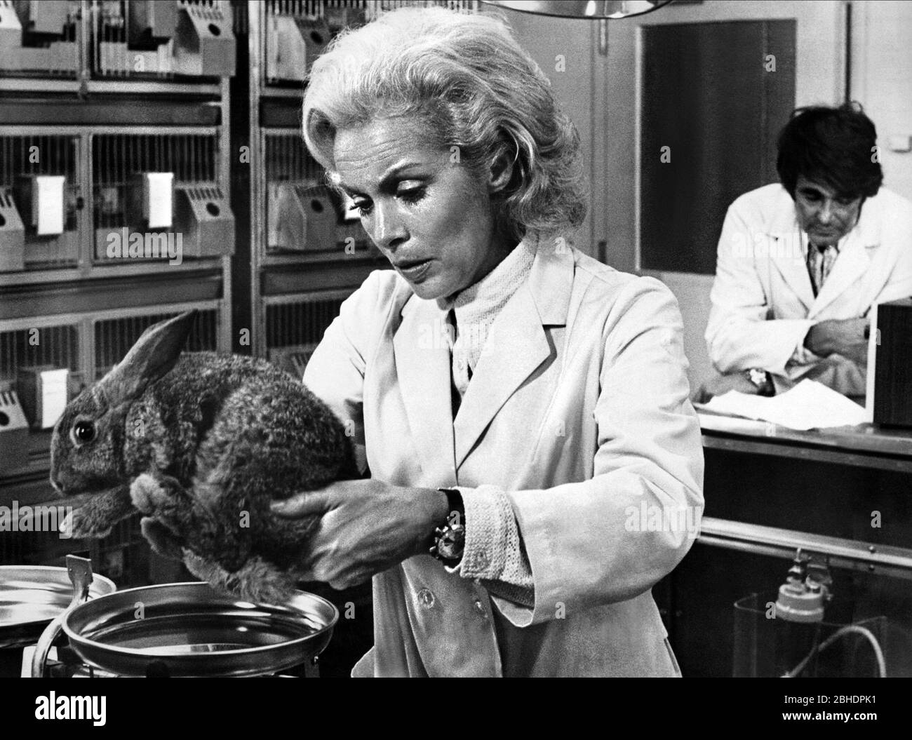 Night Of The Lepus High Resolution Stock Photography and Images - Alamy