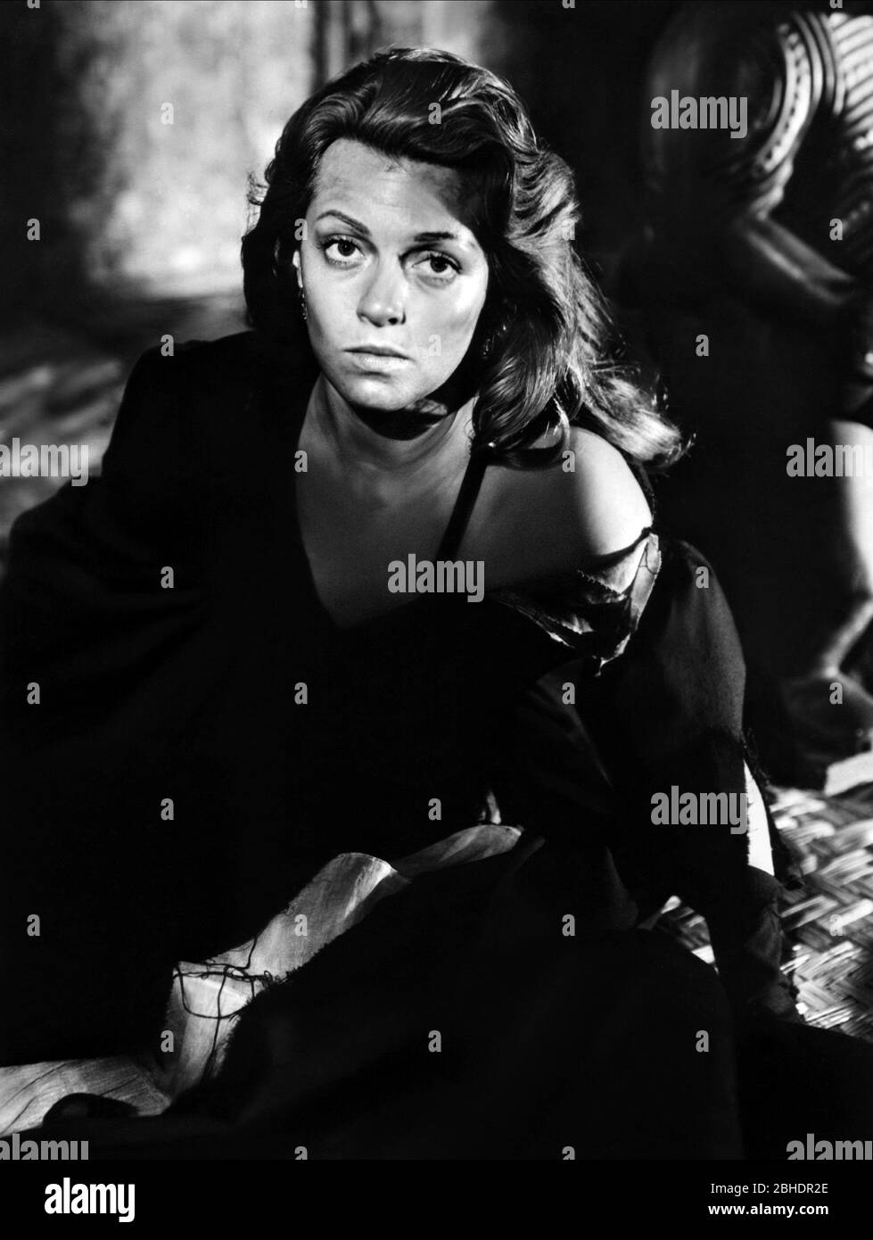 Donna Reed Donna Reed Donna High Resolution Stock Photography and ...