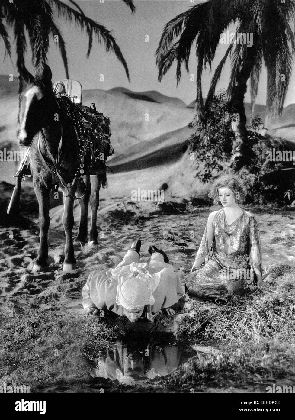 Barbarian Horse High Resolution Stock Photography and Images - Alamy