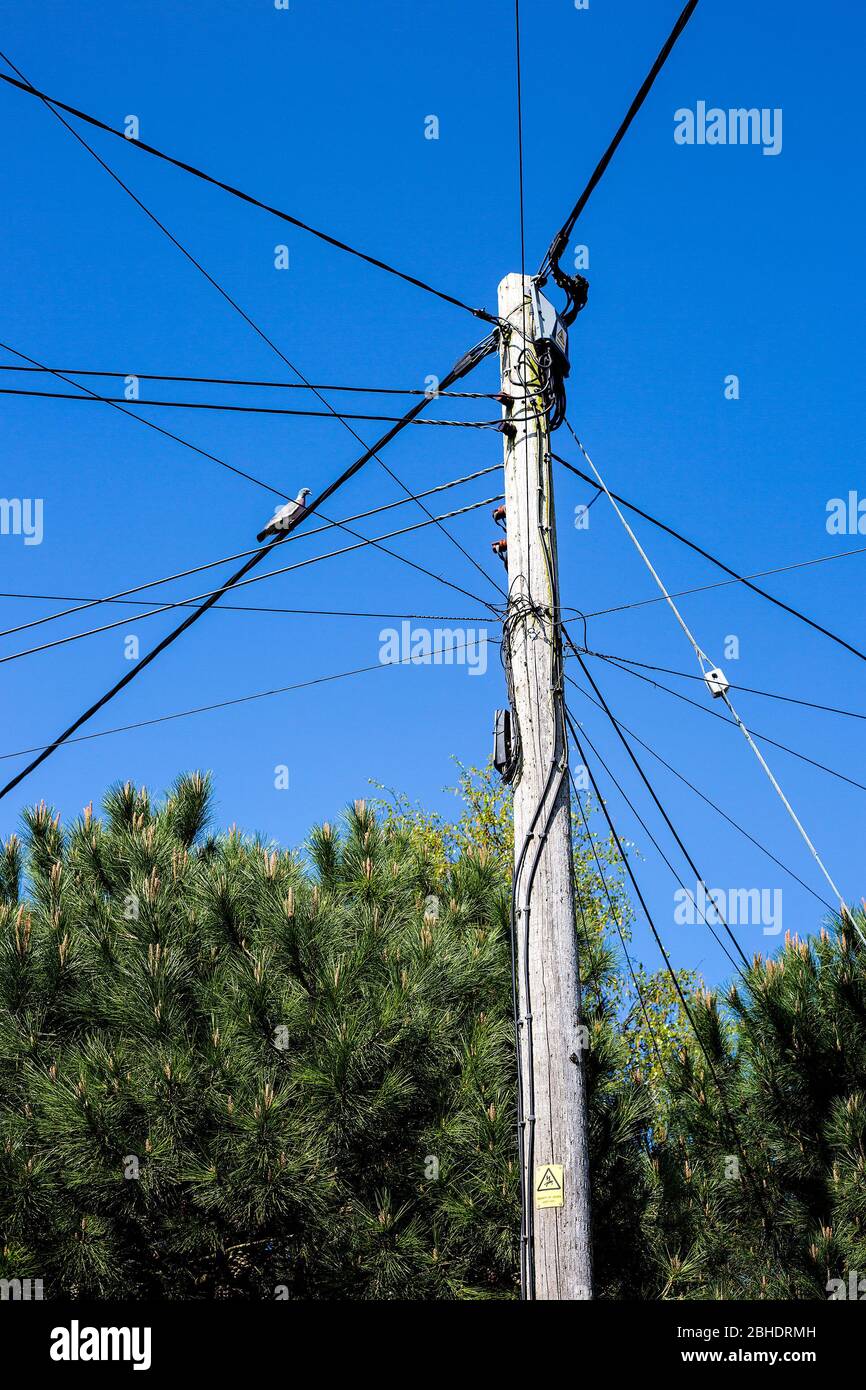 A utility pole carrying various services photographed against a bright ...