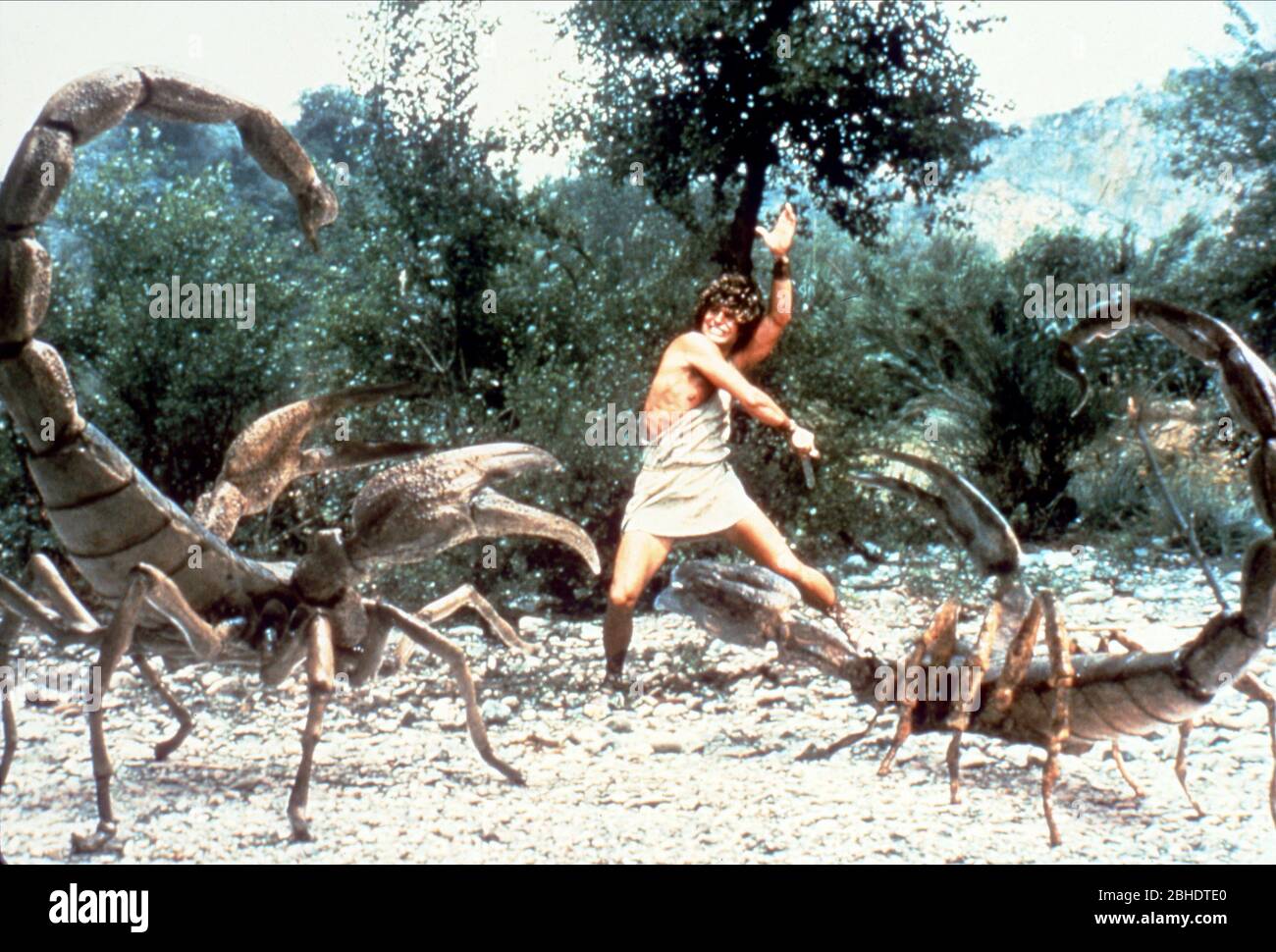 Giant Scorpions High Resolution Stock Photography and Images - Alamy