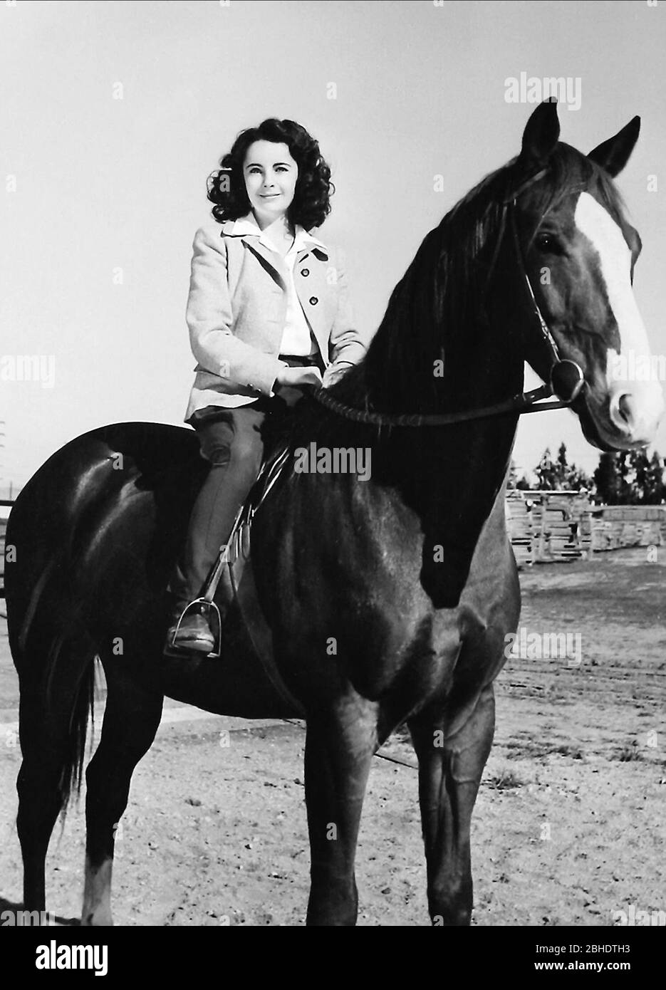 Elizabeth Taylor National Velvet High Resolution Stock Photography and ...