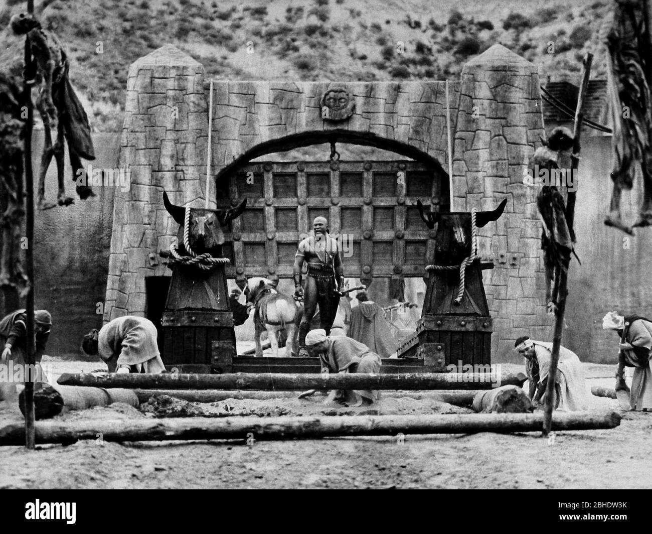 Beastmaster High Resolution Stock Photography and Images - Alamy