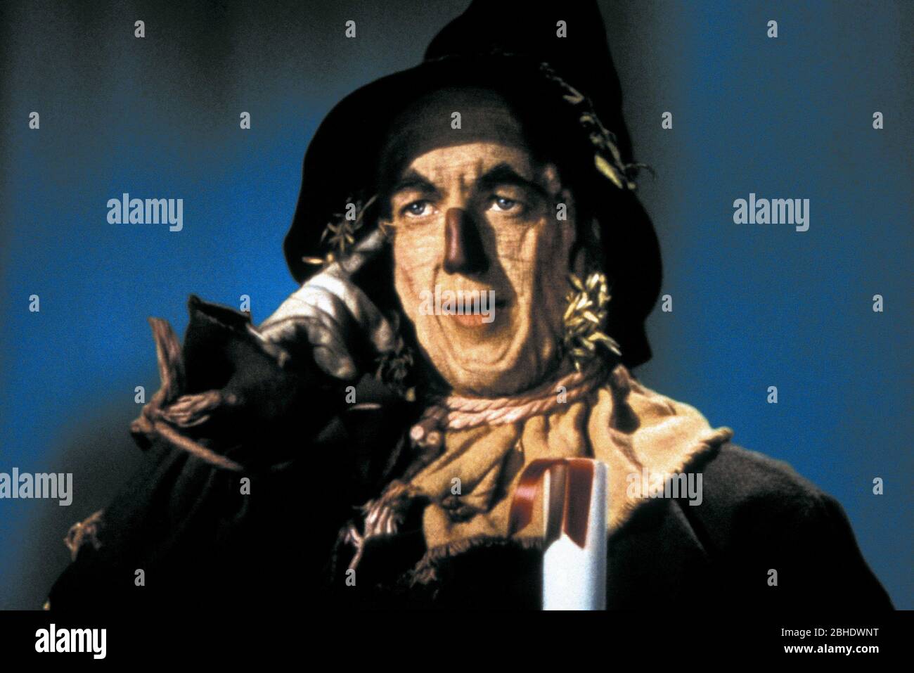 Bolger High Resolution Stock Photography and Images - Alamy