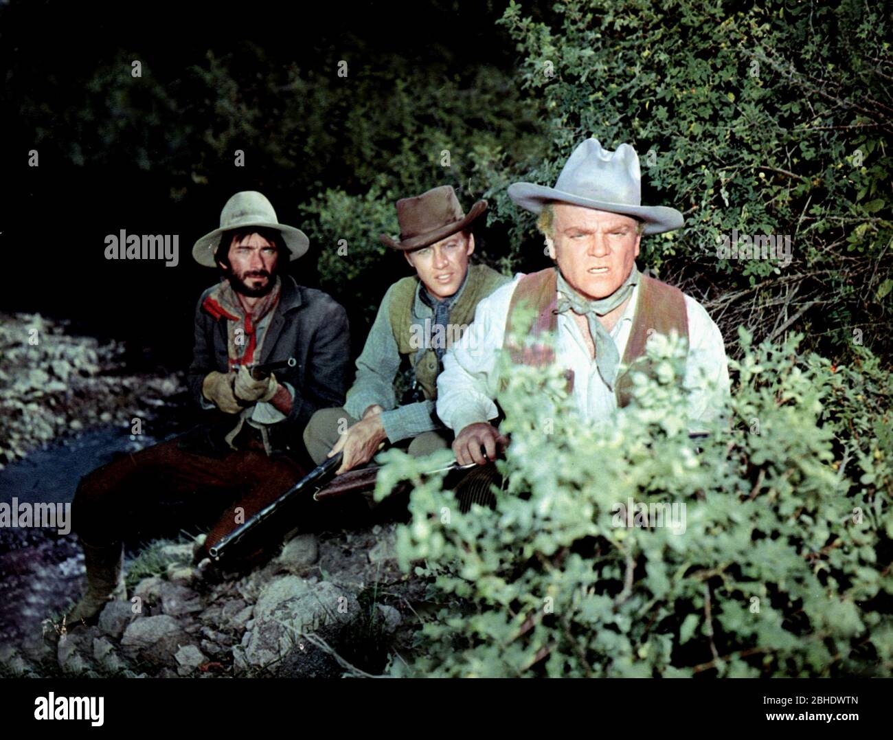 James Griffith High Resolution Stock Photography and Images - Alamy