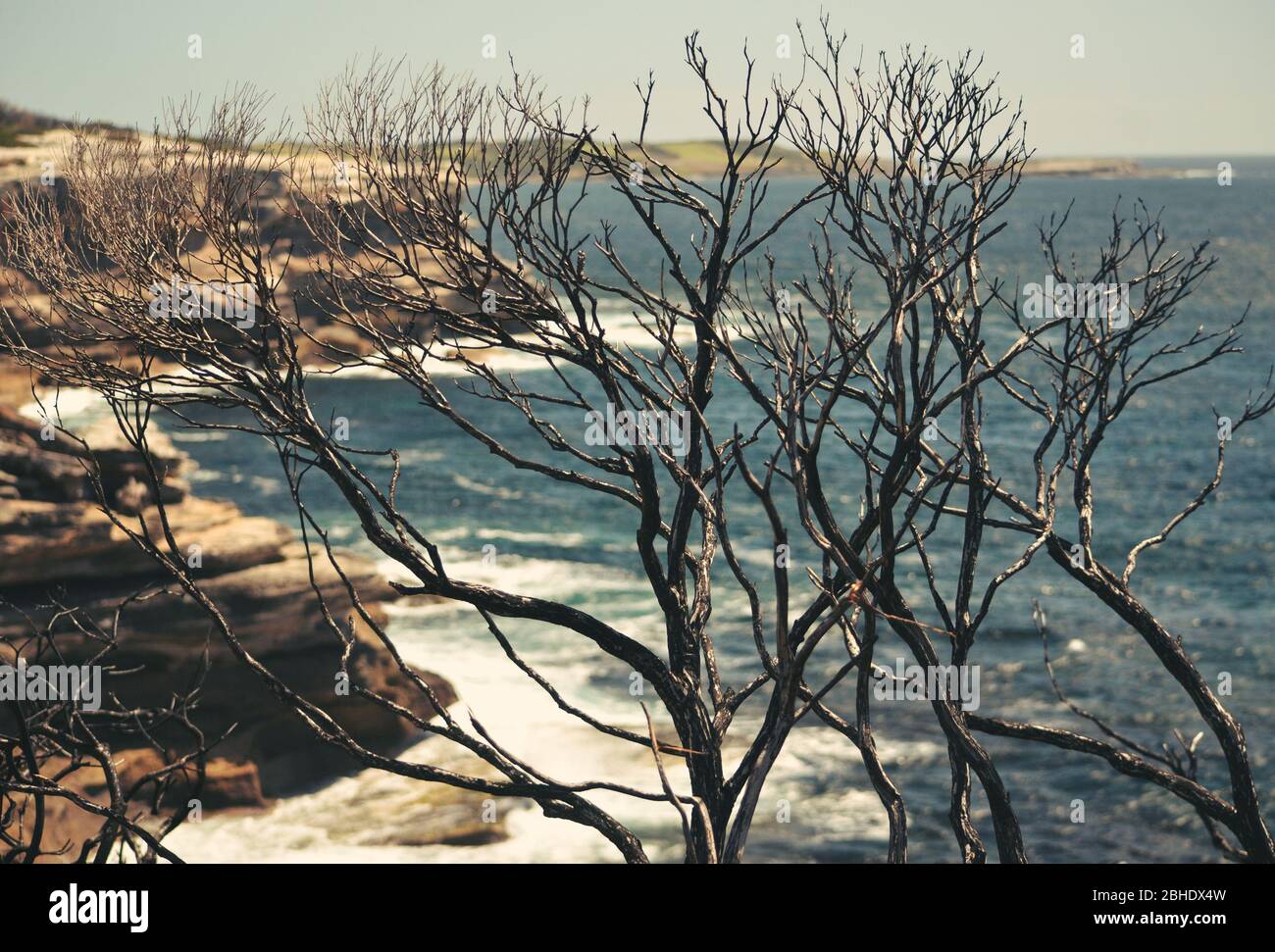 Botany Bay National Park High Resolution Stock Photography and Images ...