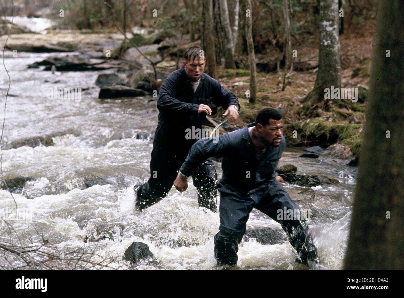Fled 1996 Laurence Fishburne High Resolution Stock Photography and ...