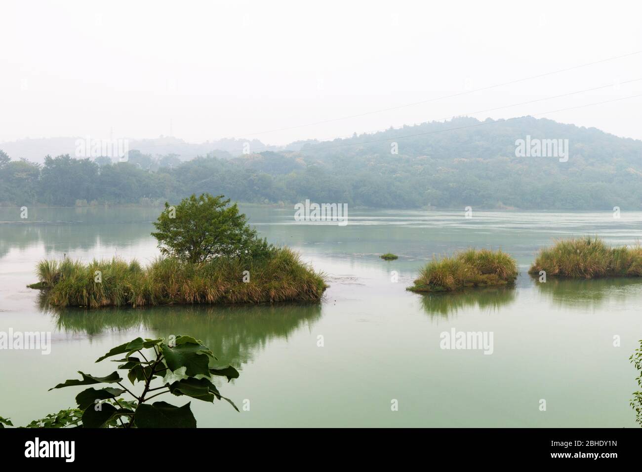 islands in the river Stock Photo - Alamy