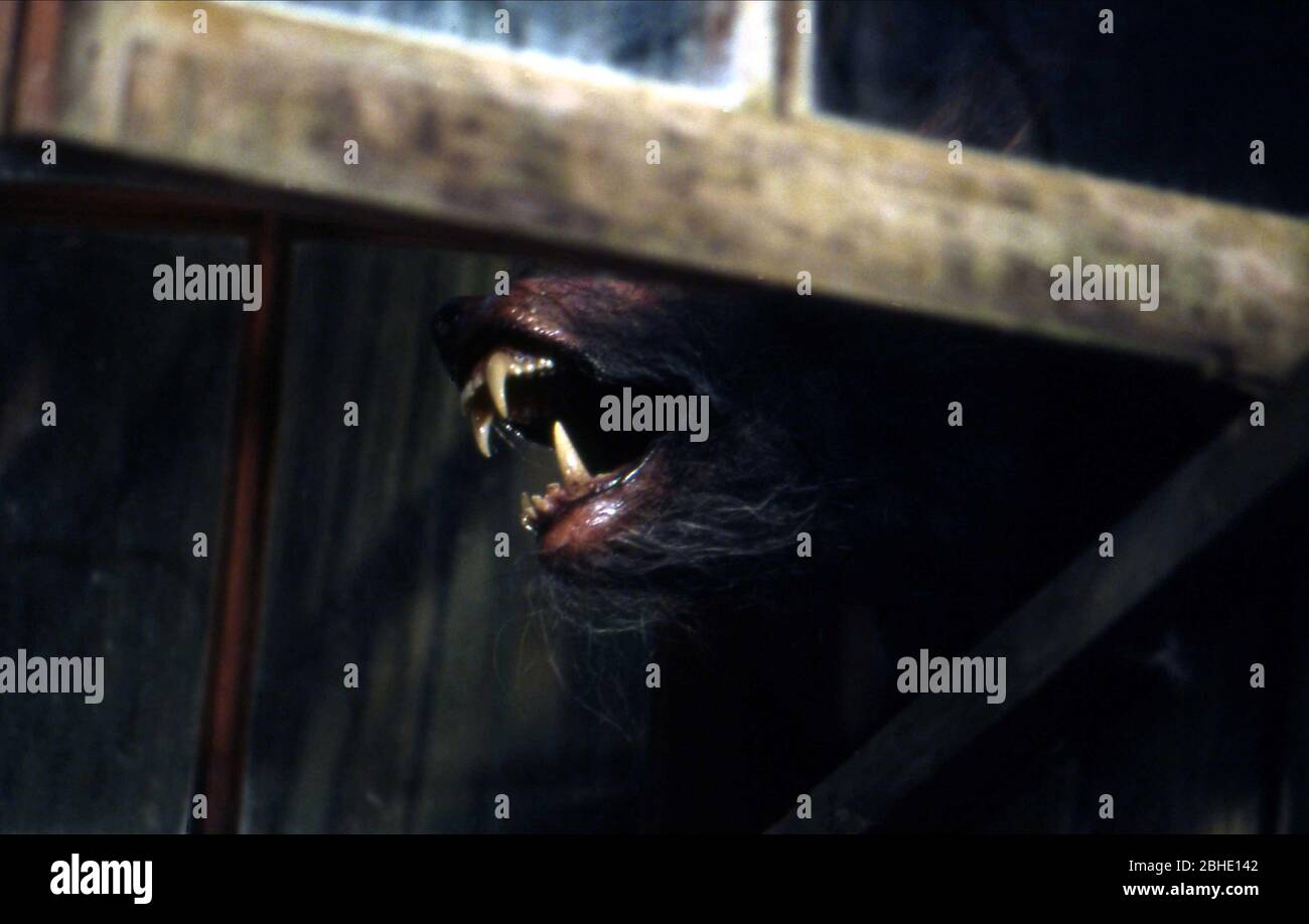 The Howling 1981 High Resolution Stock Photography and Images - Alamy
