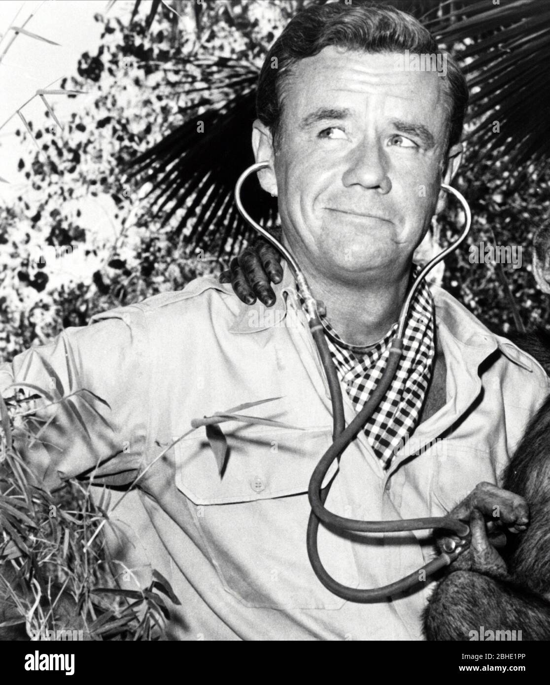 Marshall Thompson's Instagram, Twitter & Facebook on IDCrawl