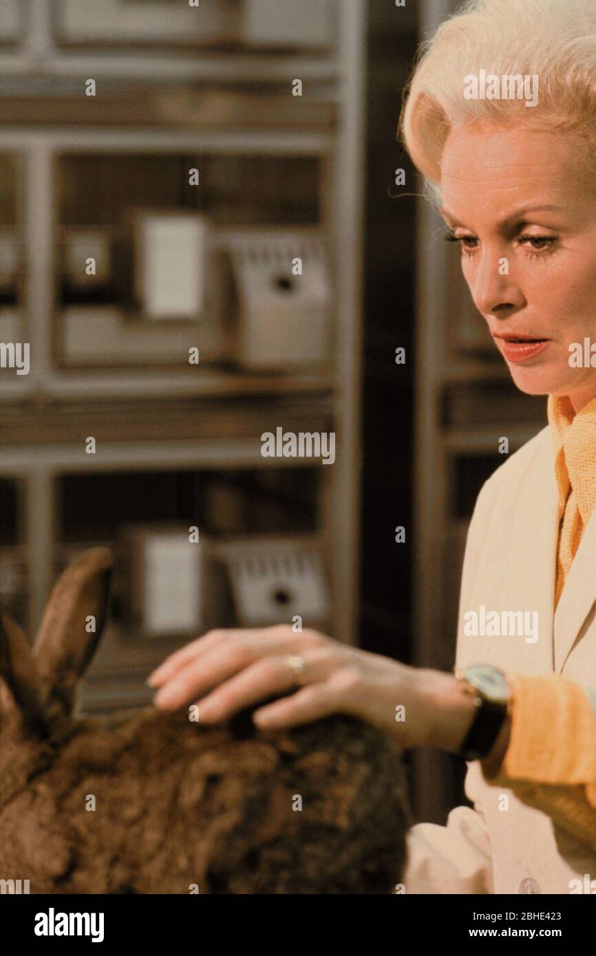 Night Of The Lepus High Resolution Stock Photography and Images - Alamy