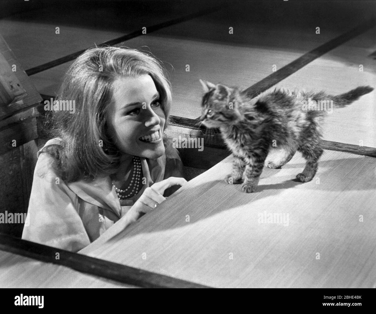 Animal House Film Still High Resolution Stock Photography and Images ...