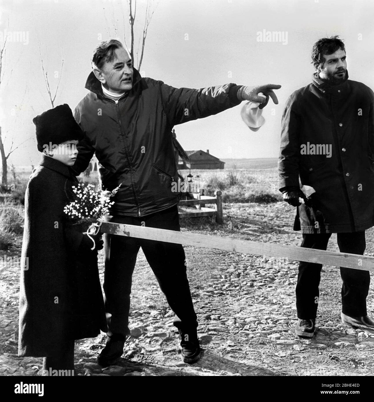 David Lean Director High Resolution Stock Photography and Images - Alamy