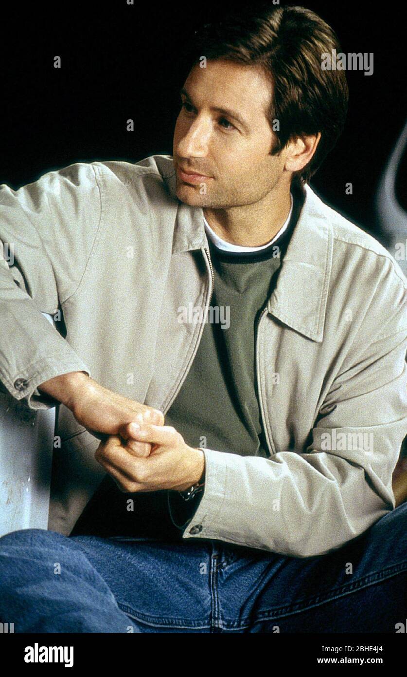 David Duchovny High Resolution Stock Photography and Images - Alamy
