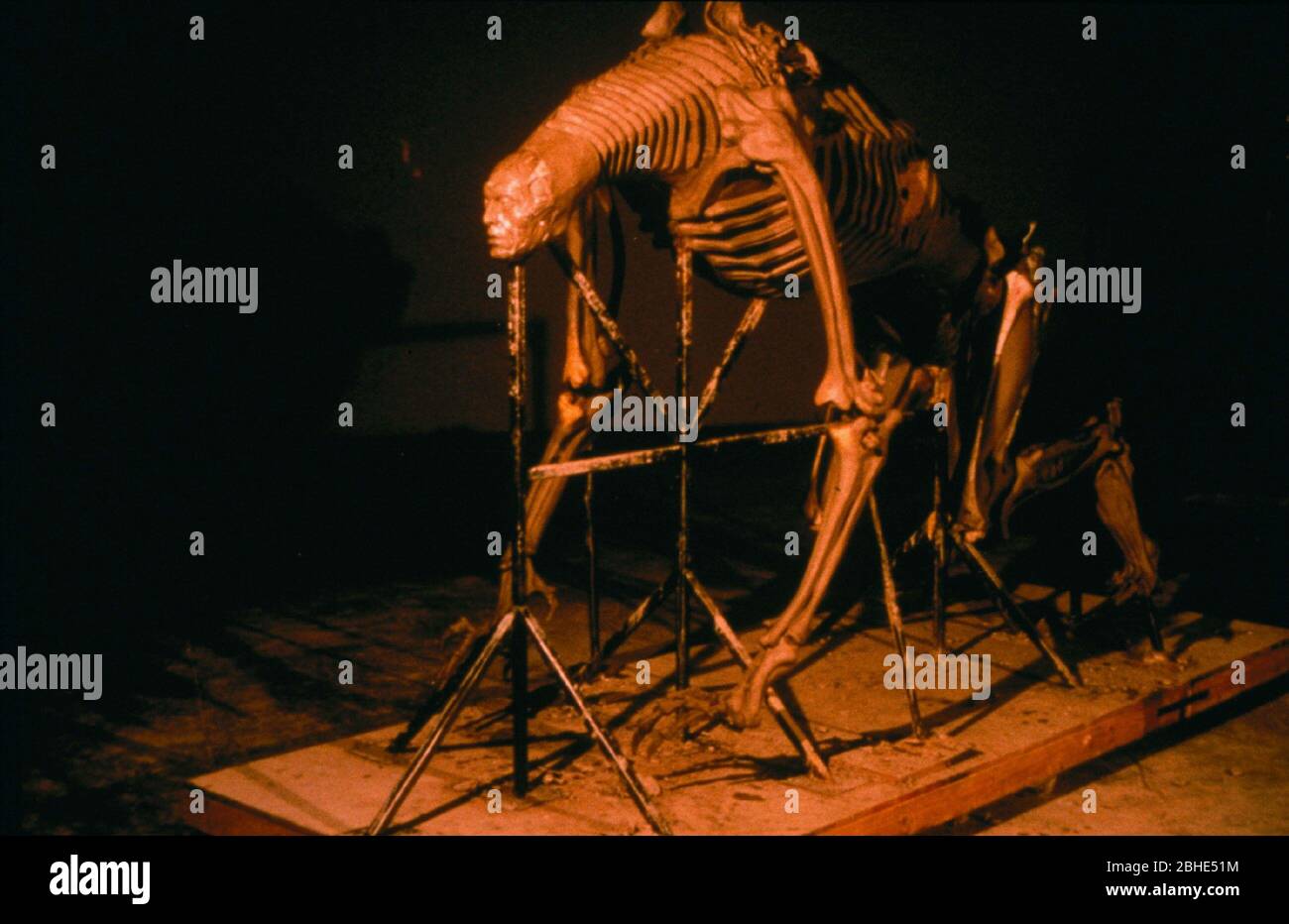 Alien Film Monster High Resolution Stock Photography and Images - Alamy