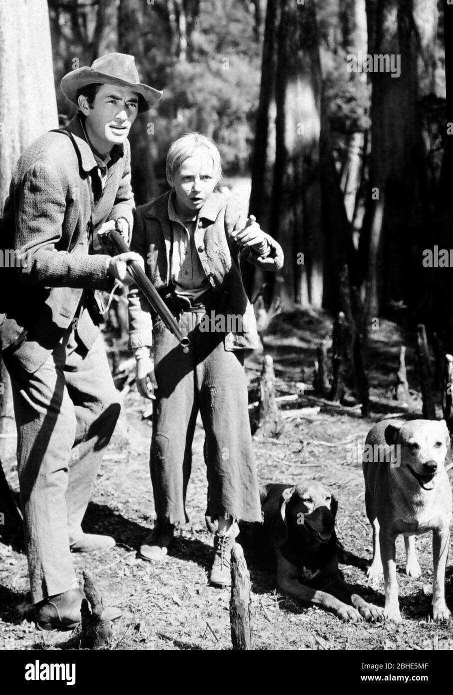 Claude Jarman Jr High Resolution Stock Photography and Images - Alamy