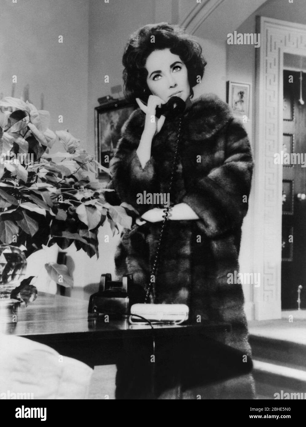 Elizabeth Taylor Butterfield 8 High Resolution Stock Photography and ...