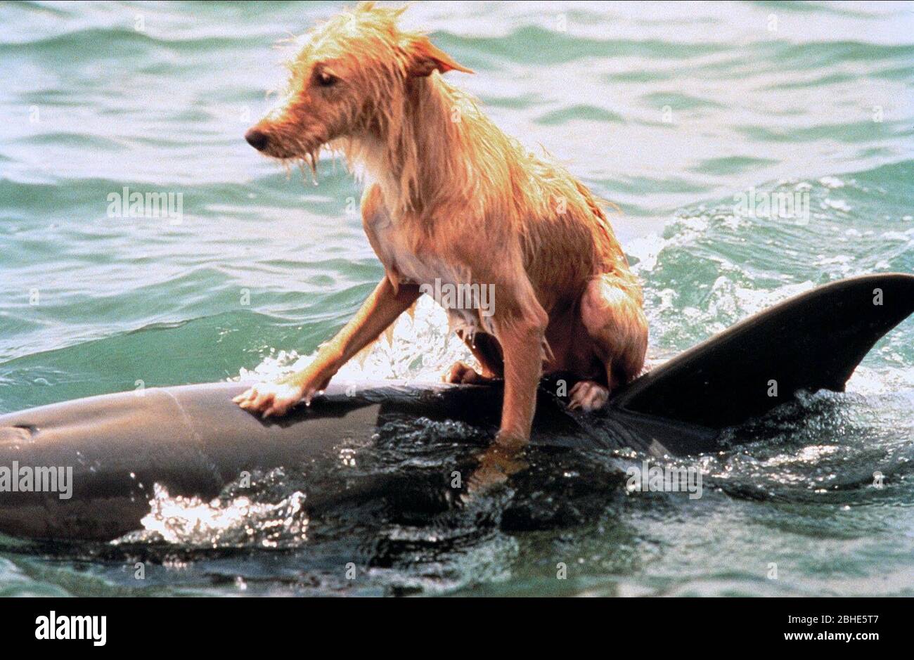 George Miller High Resolution Stock Photography and Images - Alamy