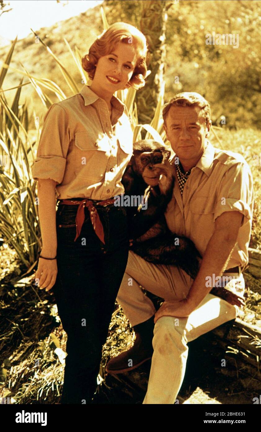 Daktari High Resolution Stock Photography and Images - Alamy