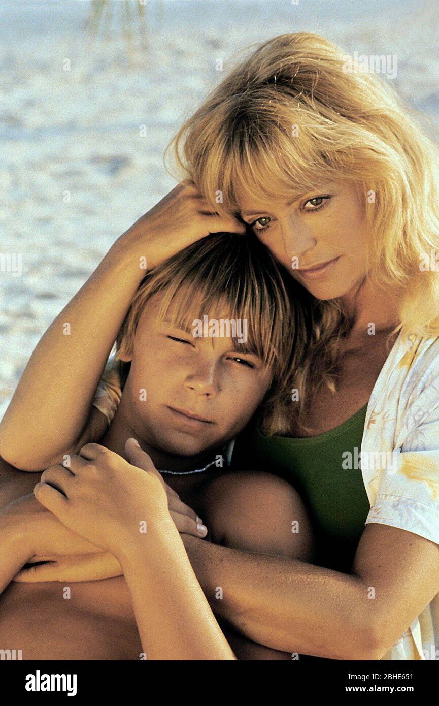 David Arnott High Resolution Stock Photography and Images - Alamy