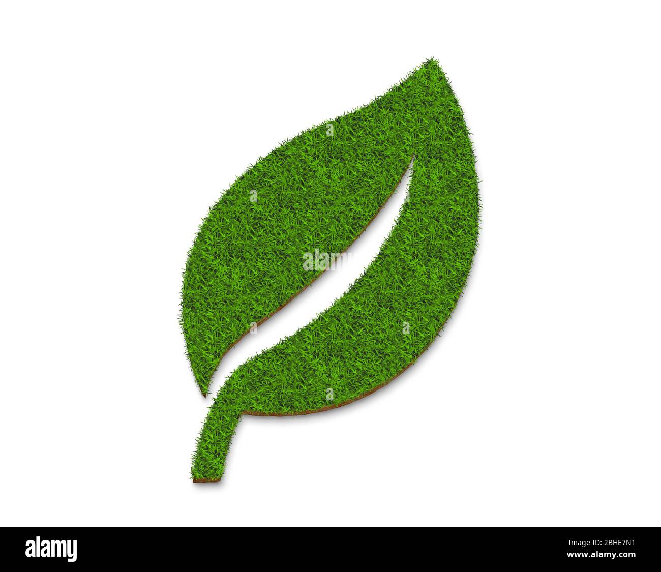 green grass leaf plate surface, isolated on a white background for ...