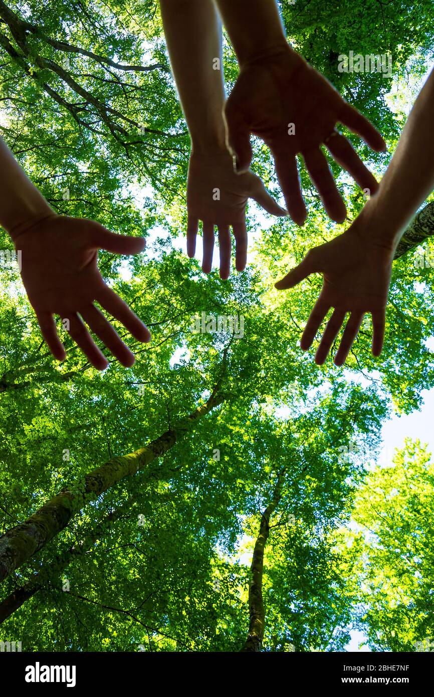 Human nature and wood lifestyle hi-res stock photography and images - Alamy