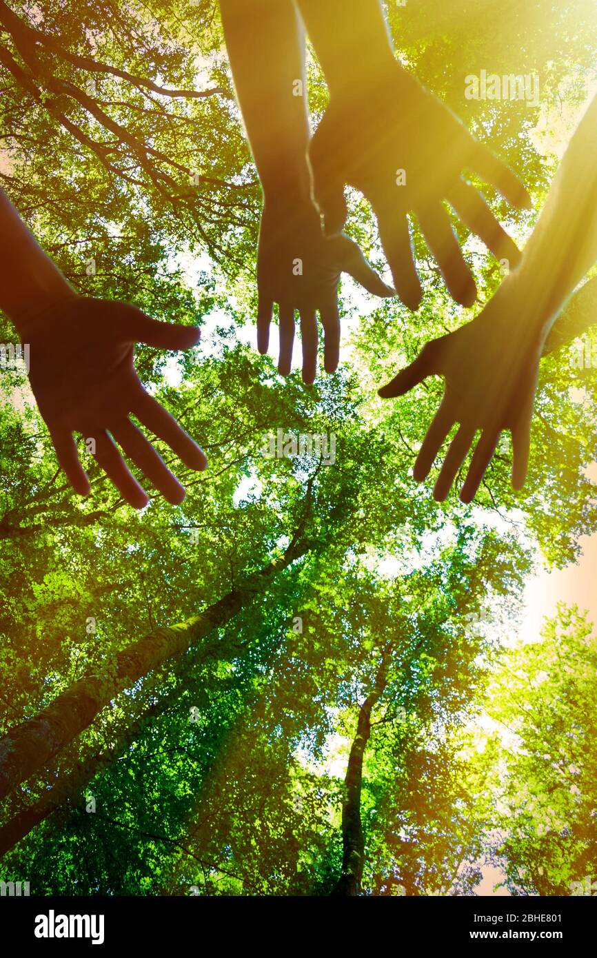 Conceptual image. Hands together in the nature Stock Photo - Alamy