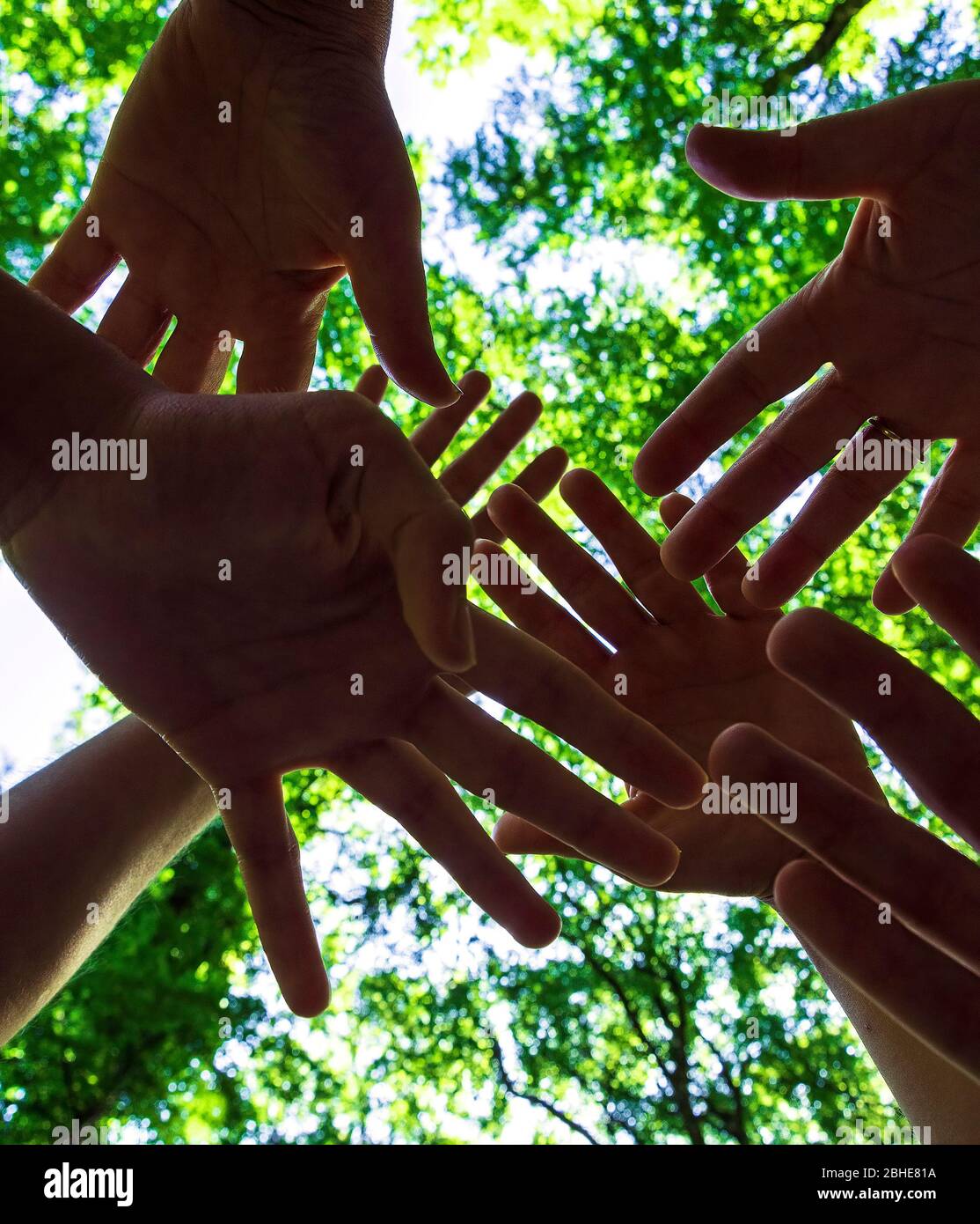 Human nature and wood lifestyle hi-res stock photography and images - Alamy