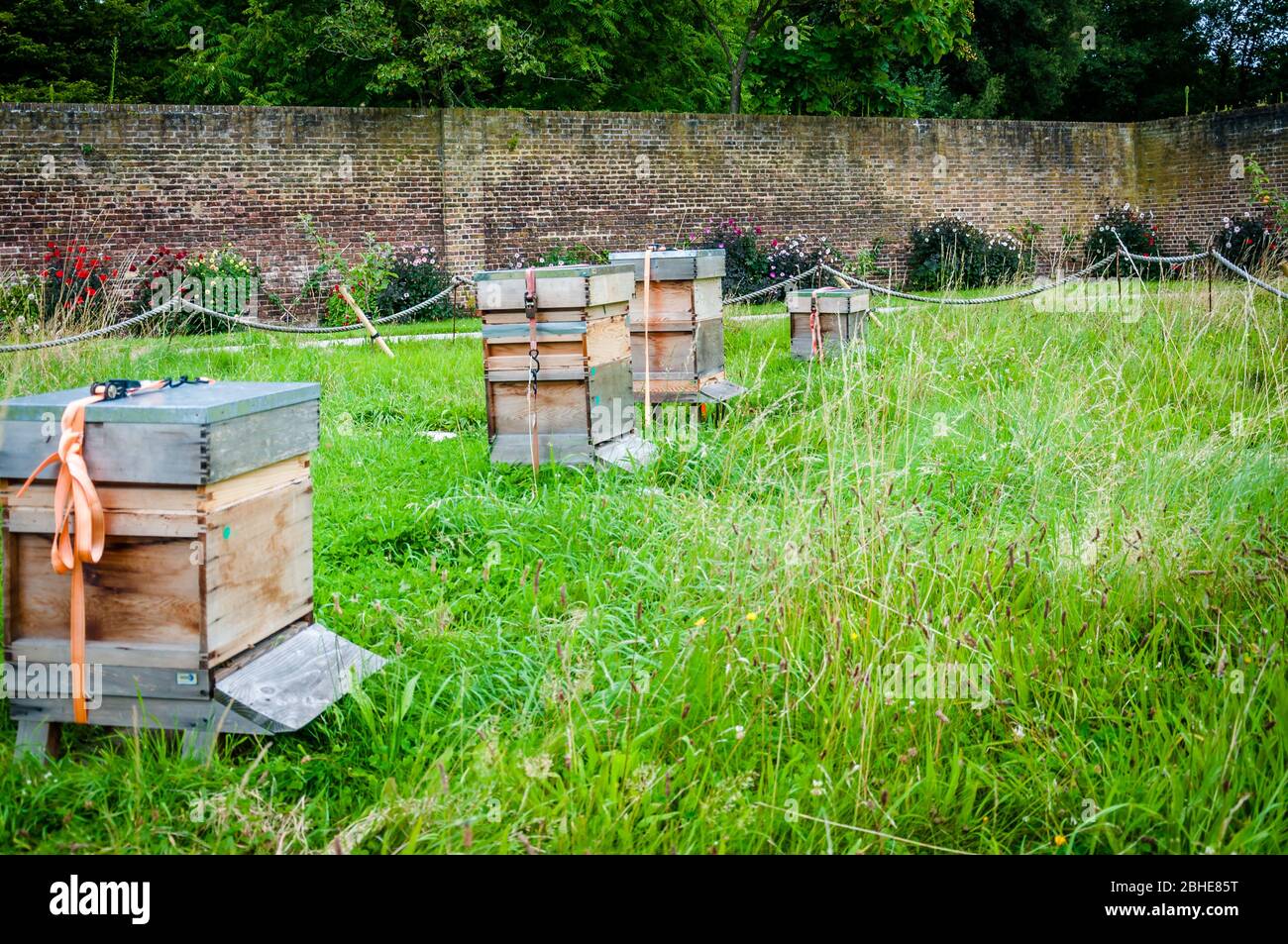 Bee hives at Fulham Palace London, England, UK Stock Photo - Alamy