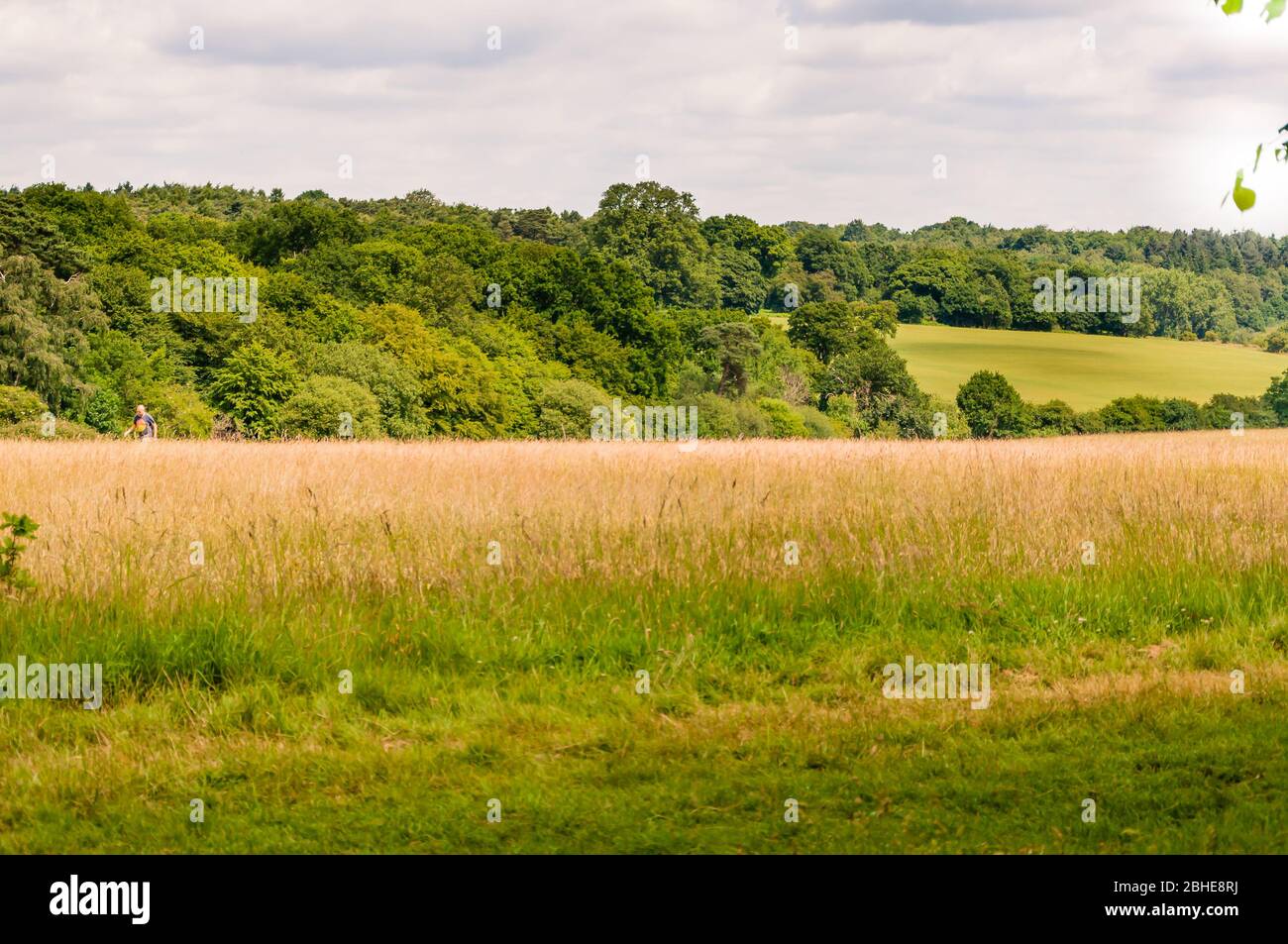 Trent Park, North London, Enfield, London, UK Stock Photo - Alamy