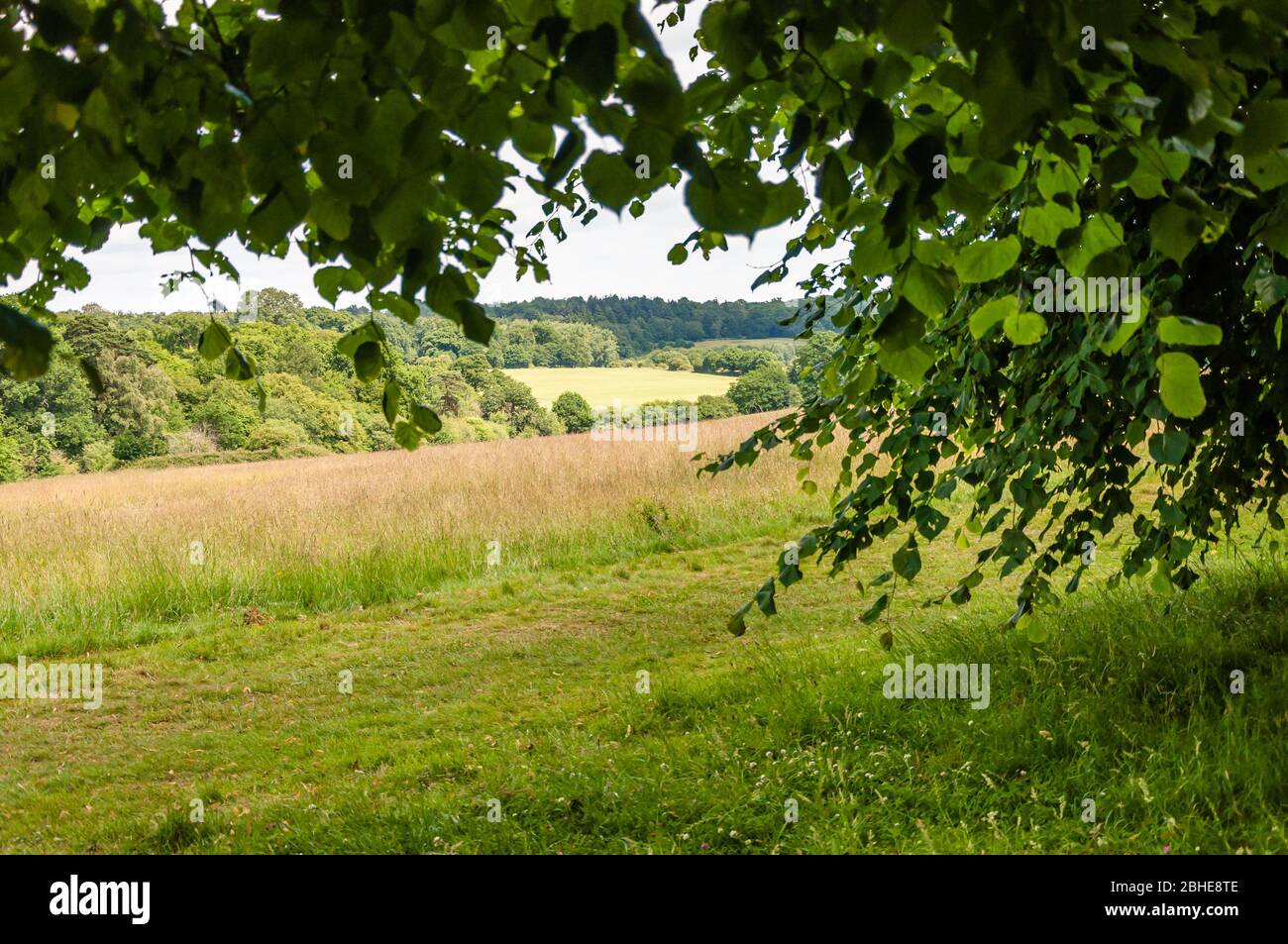 Trent park mansion hi-res stock photography and images - Alamy