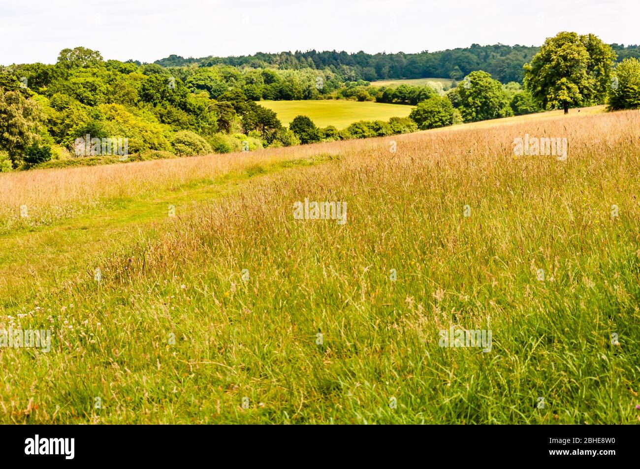 Trent Park, North London, Enfield, London, UK Stock Photo - Alamy