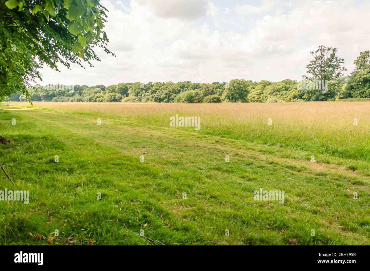 Trent park mansion hi-res stock photography and images - Alamy