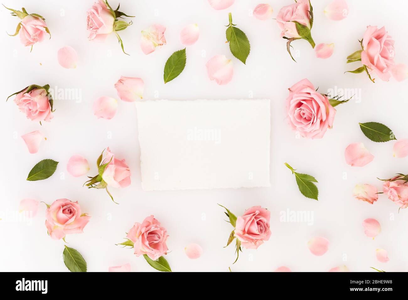 Framework from roses on hi-res stock photography and images - Alamy