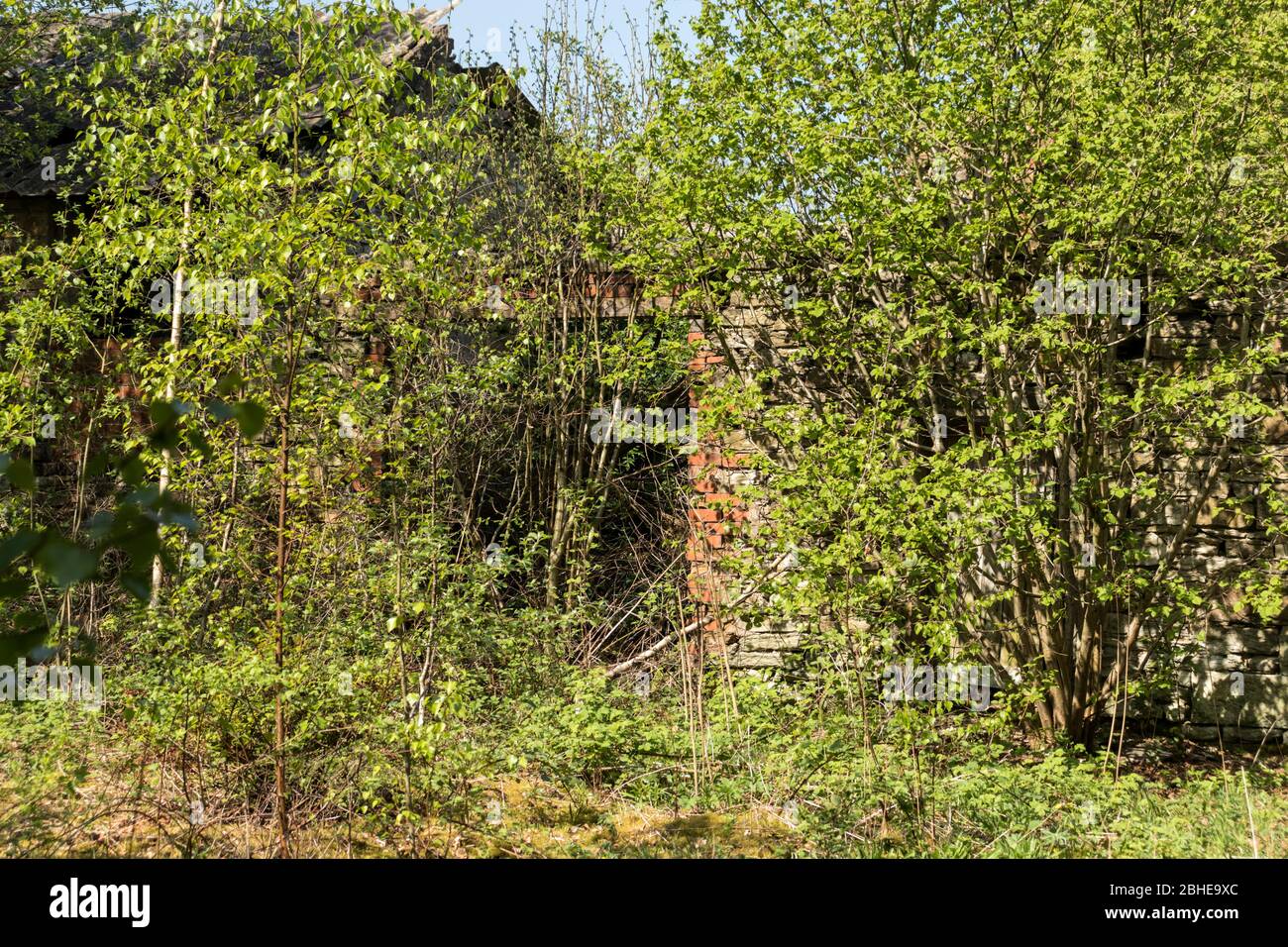 Martholme pit hi-res stock photography and images - Alamy