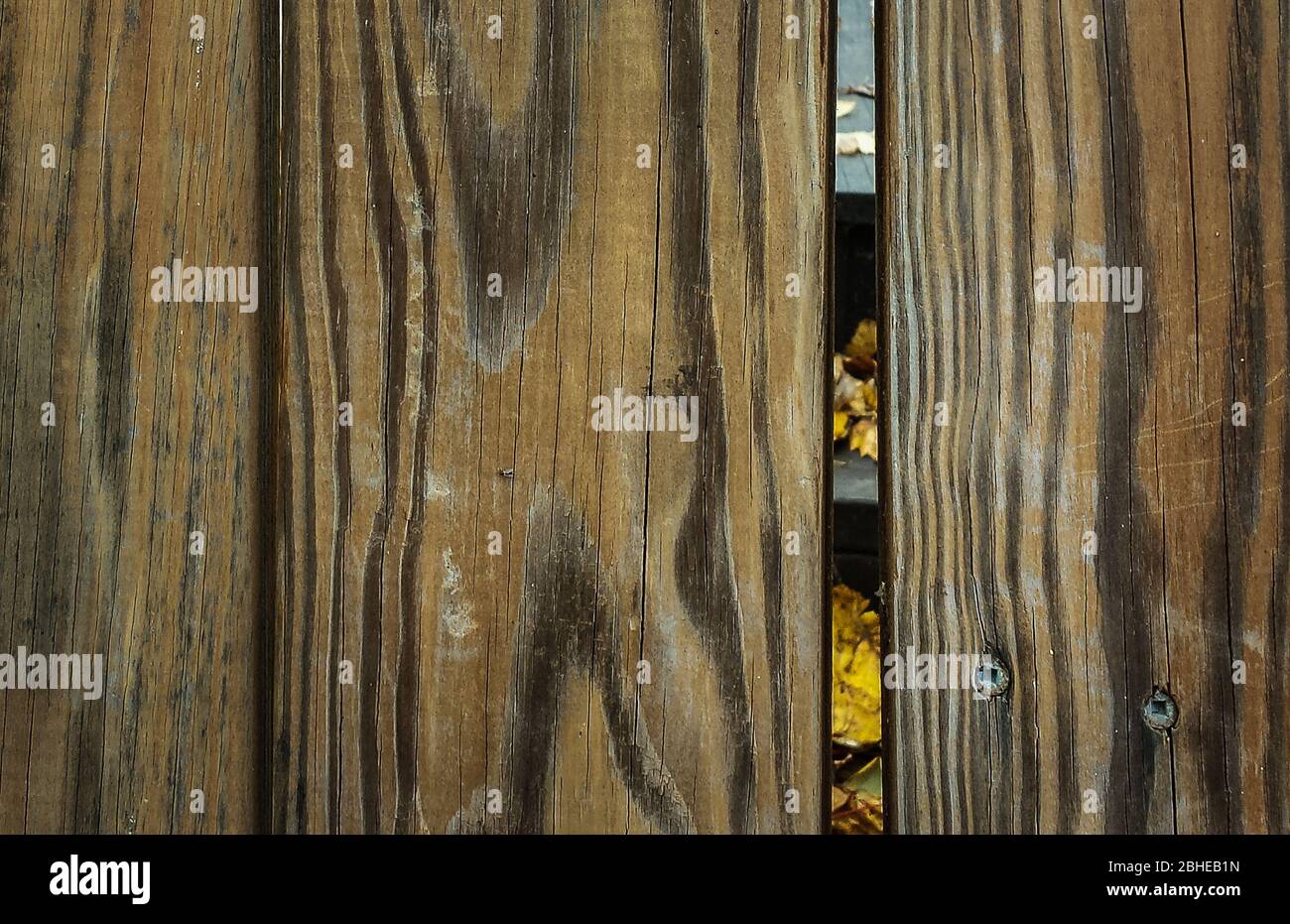 Wooden fence with slit showing leafy yellow background Stock Photo - Alamy