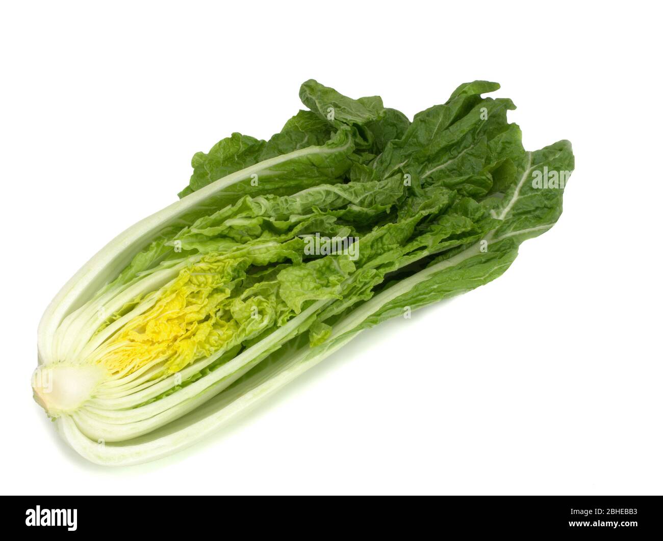 One half of Chinese cabbage isolated on a white background Stock Photo ...