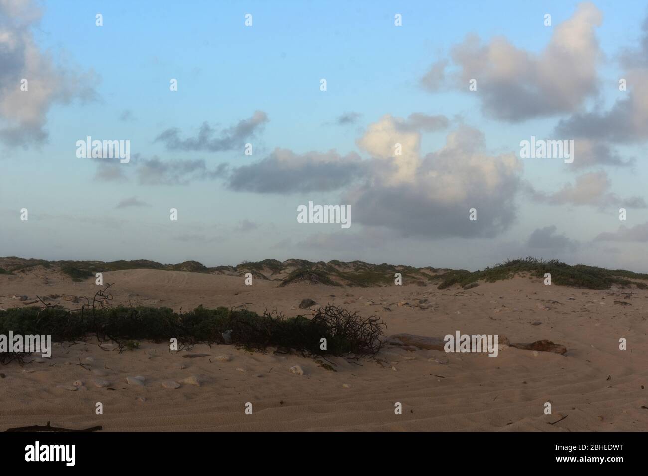 Rural rugged landscape with sand dunes in Aruba Stock Photo - Alamy