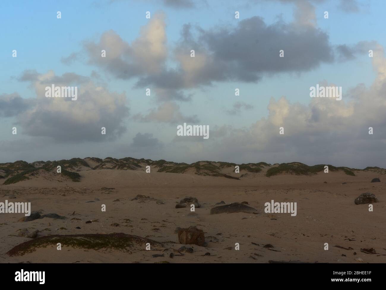 Aruba landscape with rolling sand dunes in the North Stock Photo - Alamy