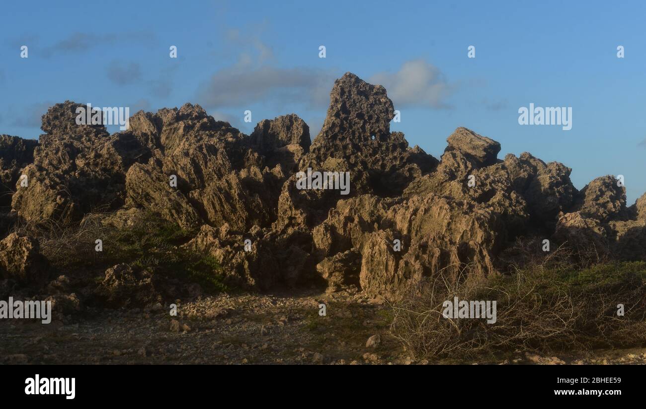 Large porous volcanic lava rock in Aruba Stock Photo - Alamy