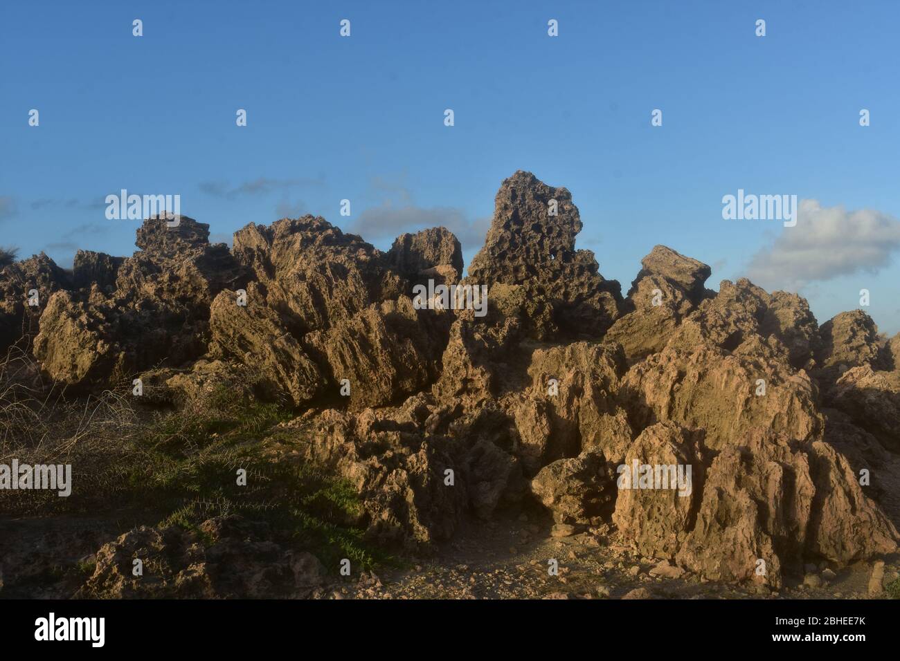 Porous volcanic rock formation in the desert of Aruba Stock Photo - Alamy