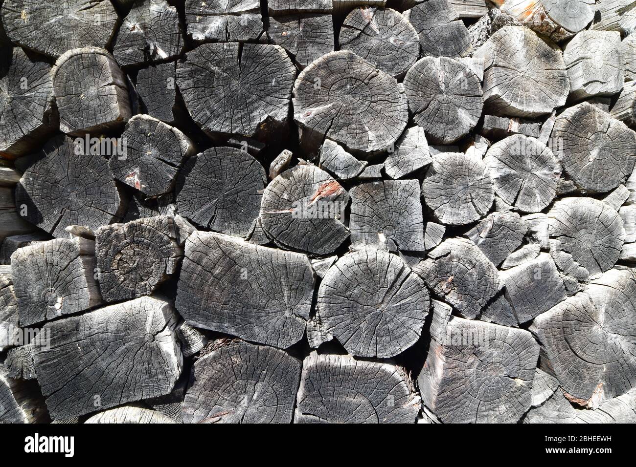 Oak wood logs on heap hi-res stock photography and images - Alamy