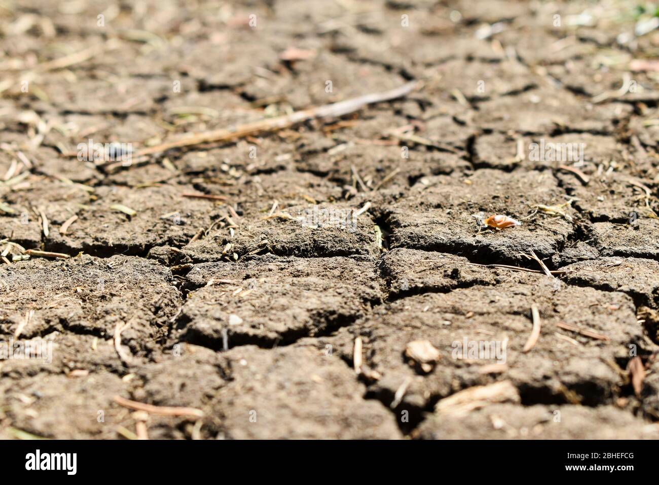 Soil skin hi-res stock photography and images - Alamy