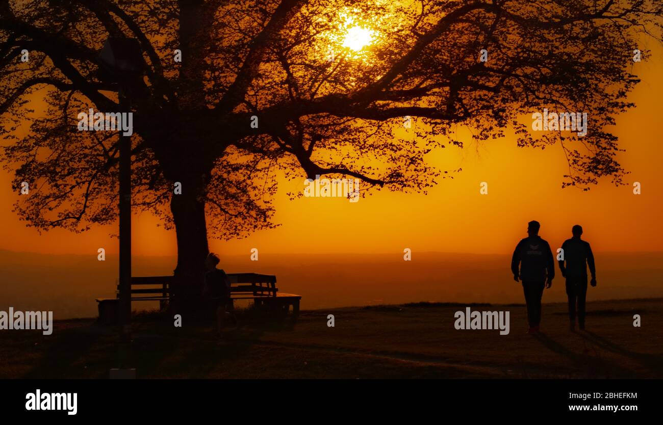 Hugh Tree High Resolution Stock Photography and Images - Alamy